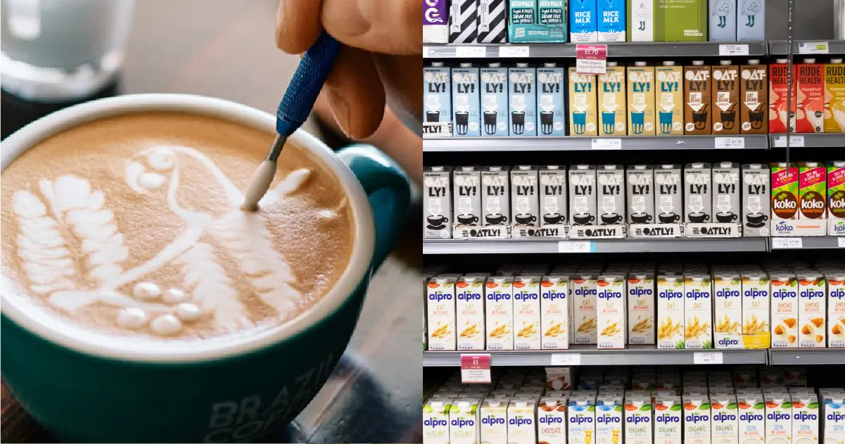 Leche barista la serenísima: como hacerlo para baristas - Lacteos Franz