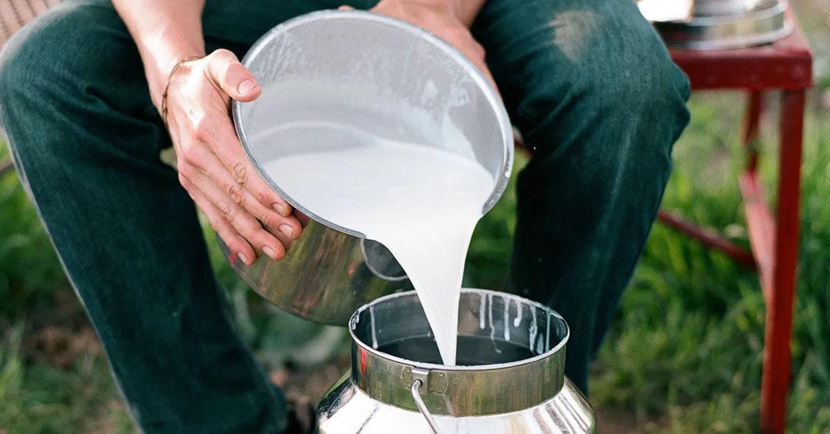 Leche cruda de cabra: beneficios, riesgos y legalidad - Lacteos Franz