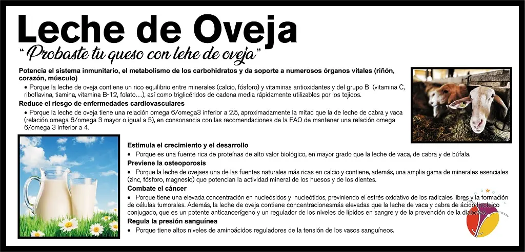 Beneficios de la leche de oveja - Lacteos Franz