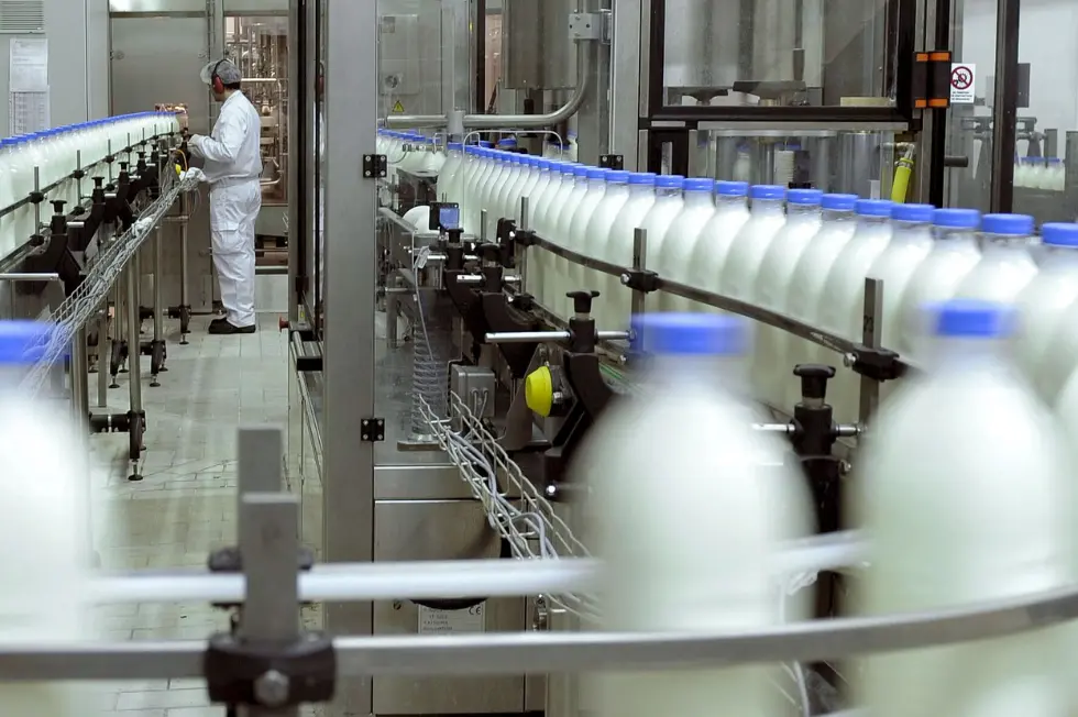 Pasteurización de la leche: definición, proceso y efectos - Lacteos Franz