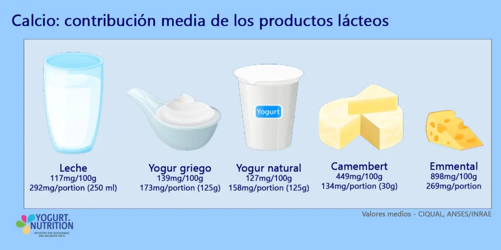 ¿cuánto calcio absorbe el organismo de los lácteos? información ...