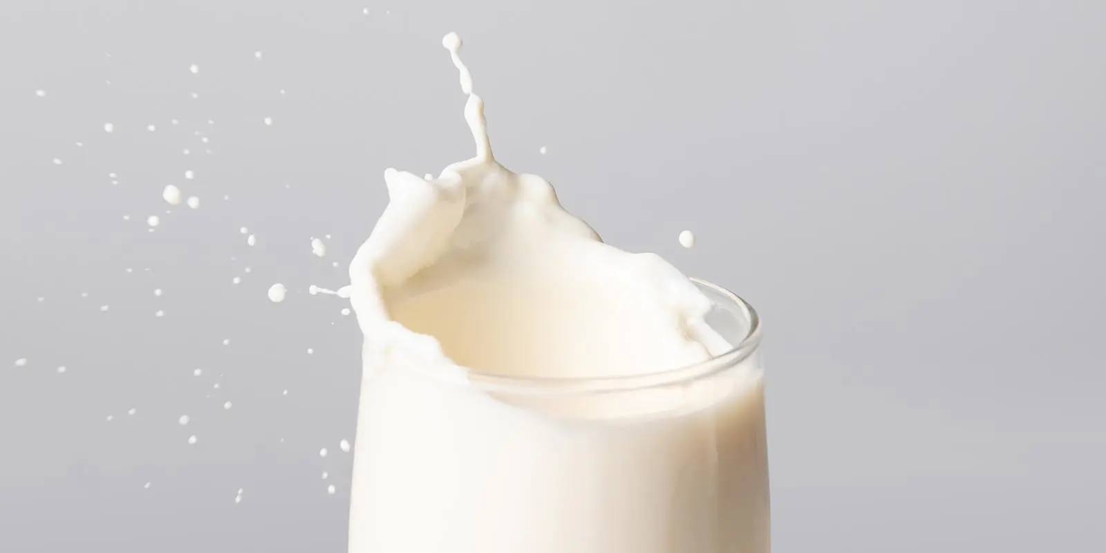 Se puede hacer yogur con leche en polvo? cómo - Lacteos Franz